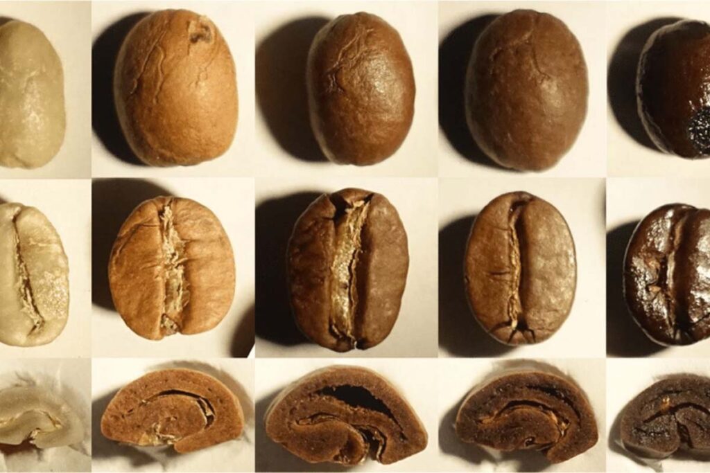 Cracking the Code: What First and Second Crack Mean in Coffee Roasting ...